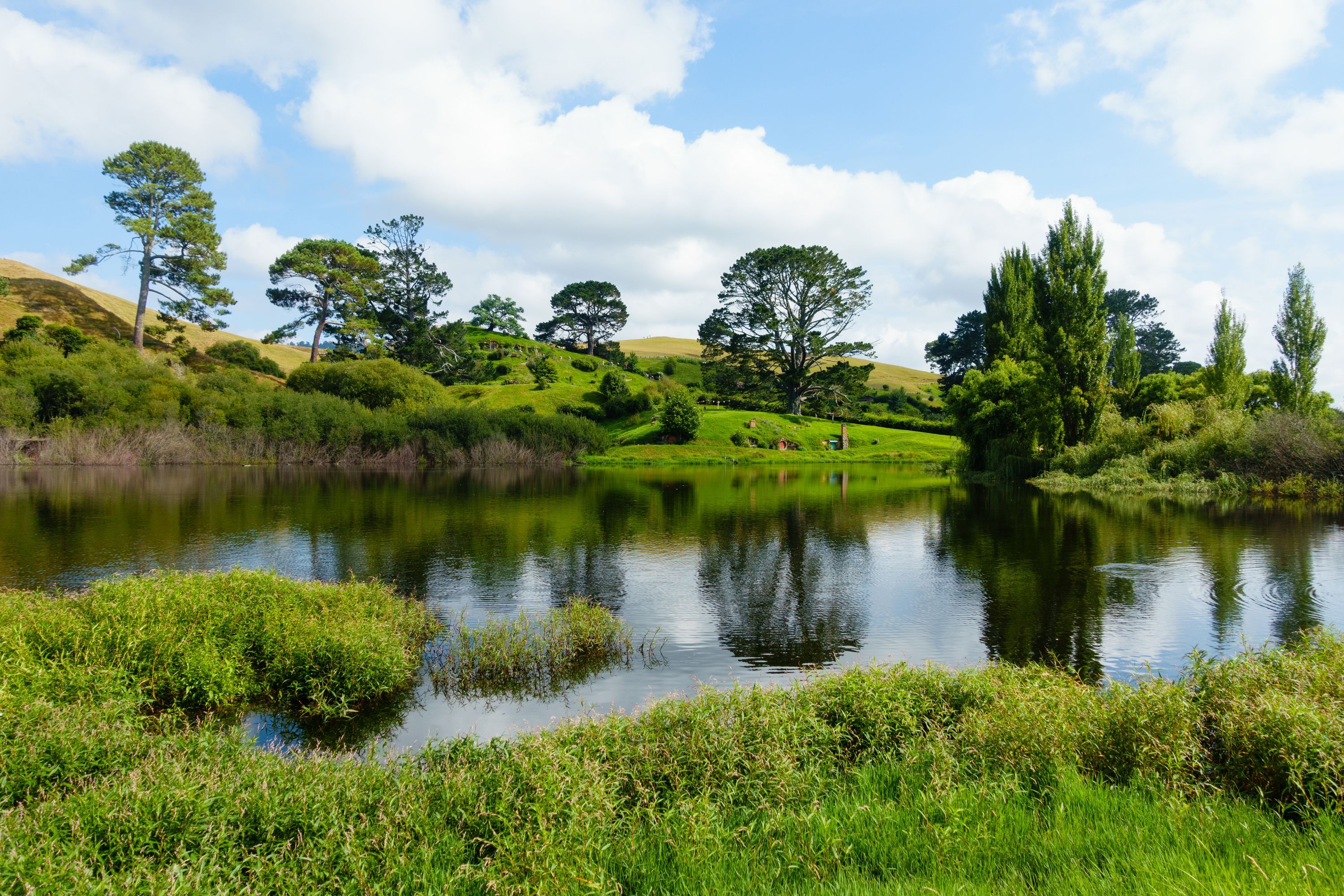 Matamata Hotels: 71 Cheap Matamata Hotel Deals, New Zealand